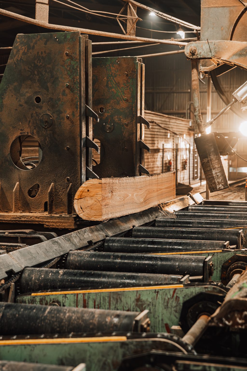 South Coast Timber – Innovation That Protects Our Forests